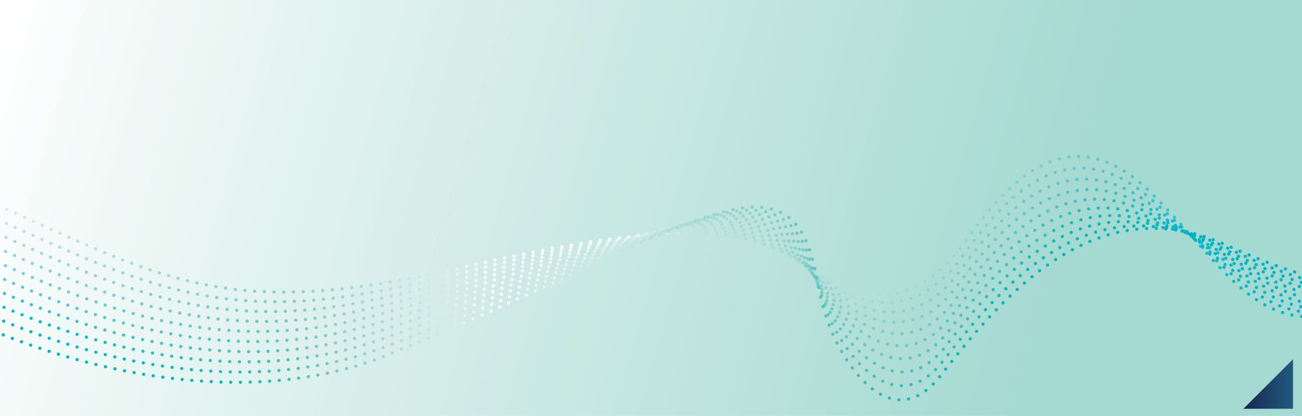 Terms of Use - 4DMedical